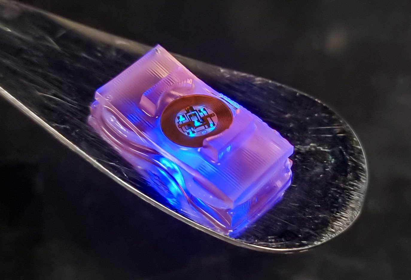 Grainger Engineers Advance Field of Biohybrid Robotics | Bioengineering ...