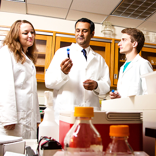 Illinois Cancer Scholars: Program links education to real-world issues ...