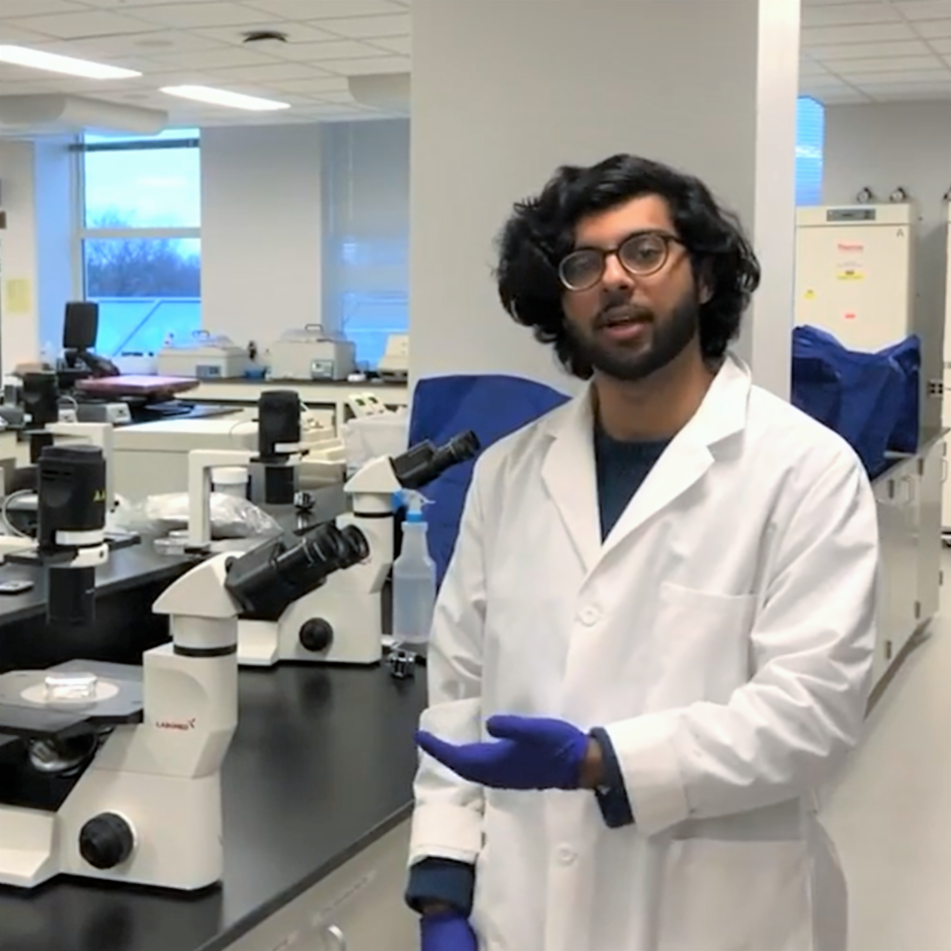 Bioengineering faculty transitions to online teaching | Bioengineering ...