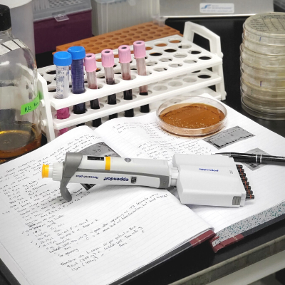 Experts review advancements in engineering microbes as living ...