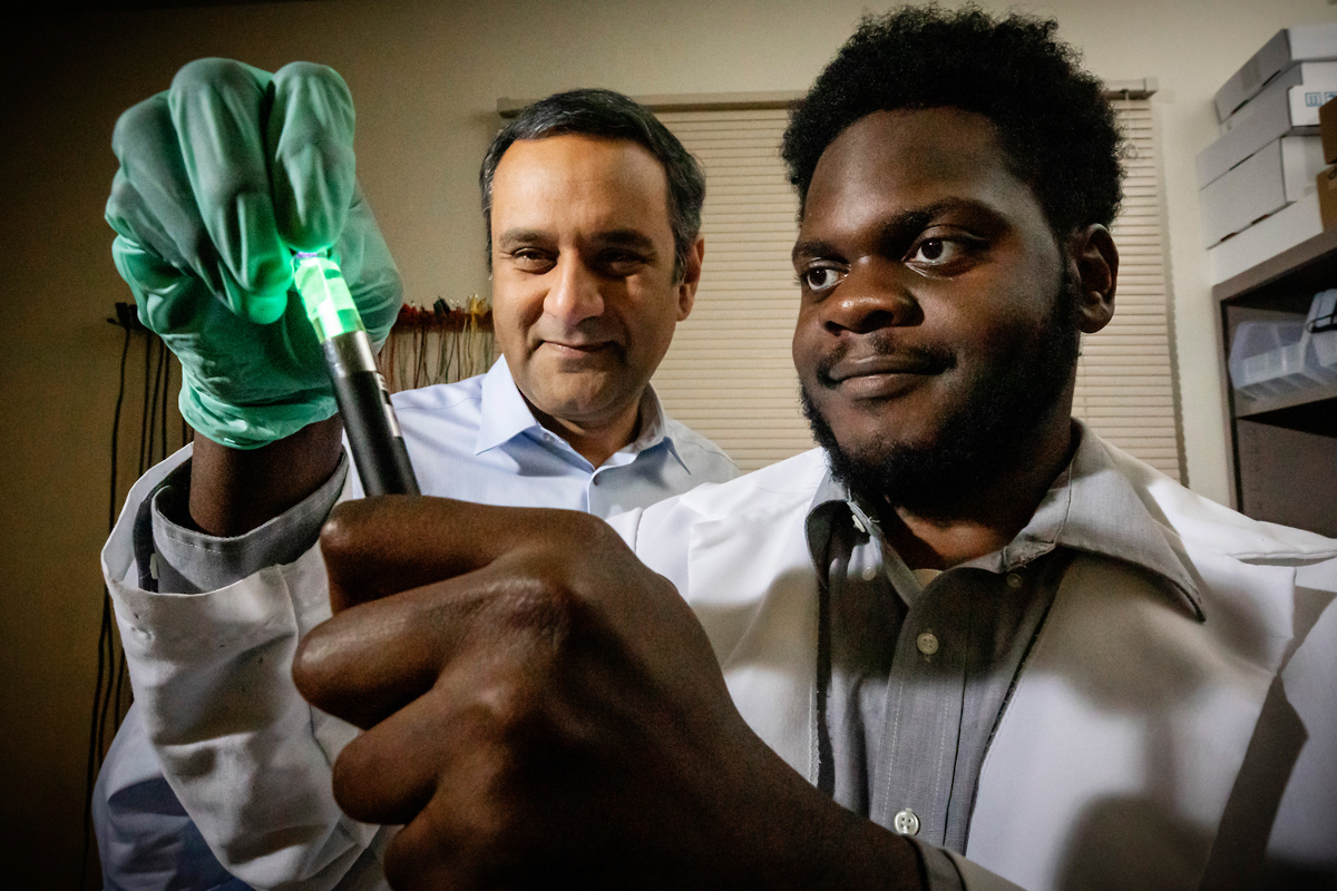 Employment | Bioengineering | Illinois