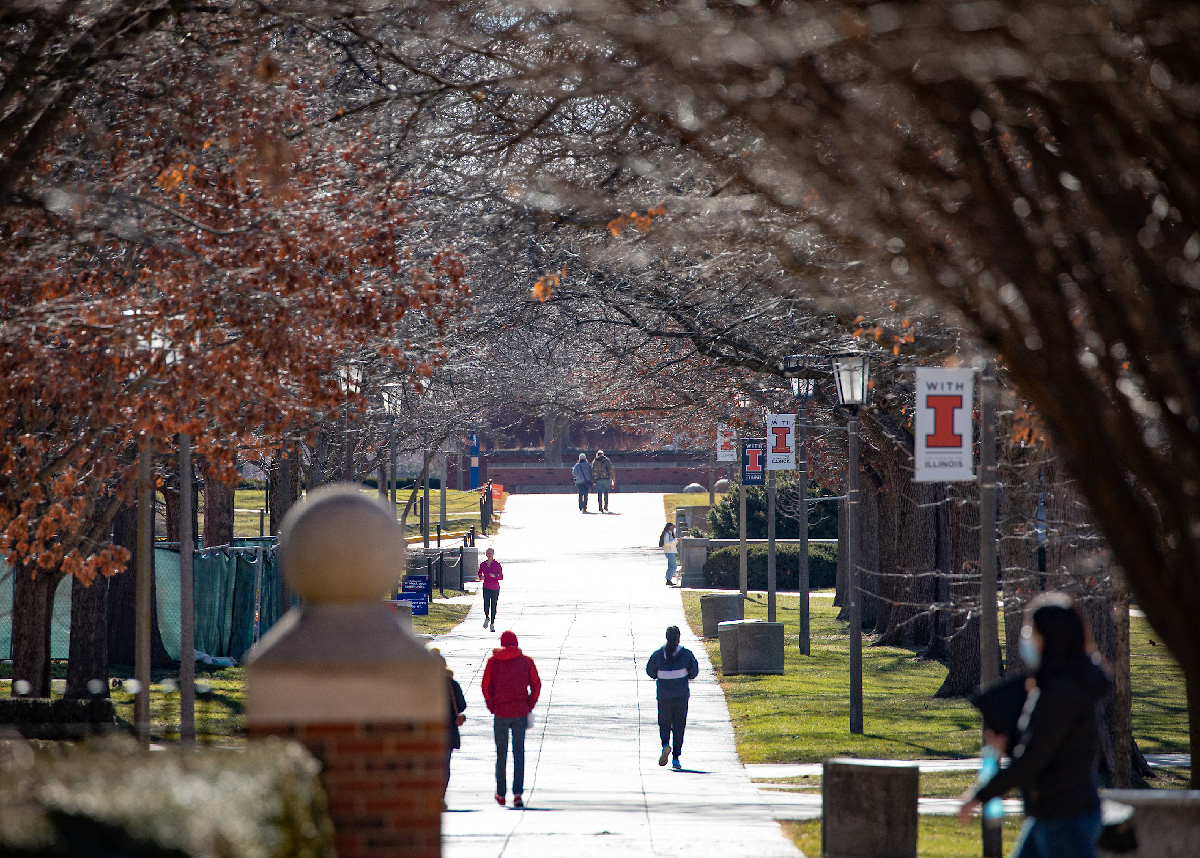 Faculty | Bioengineering | UIUC