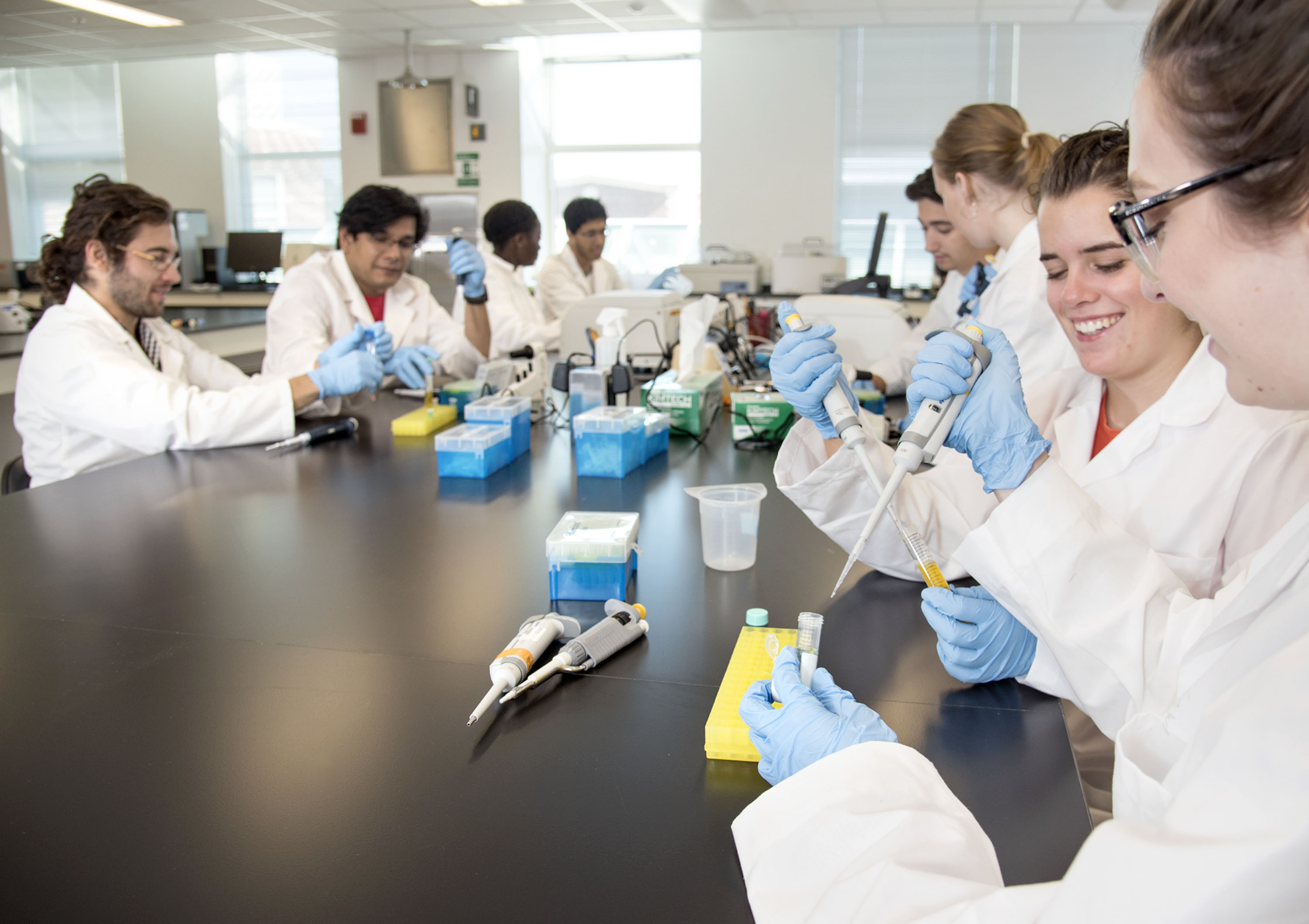 Everitt Lab | Bioengineering | Illinois