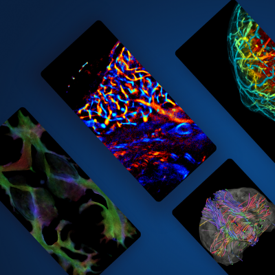 University of Illinois Urbana-Champaign launches first-of-its-kind ...