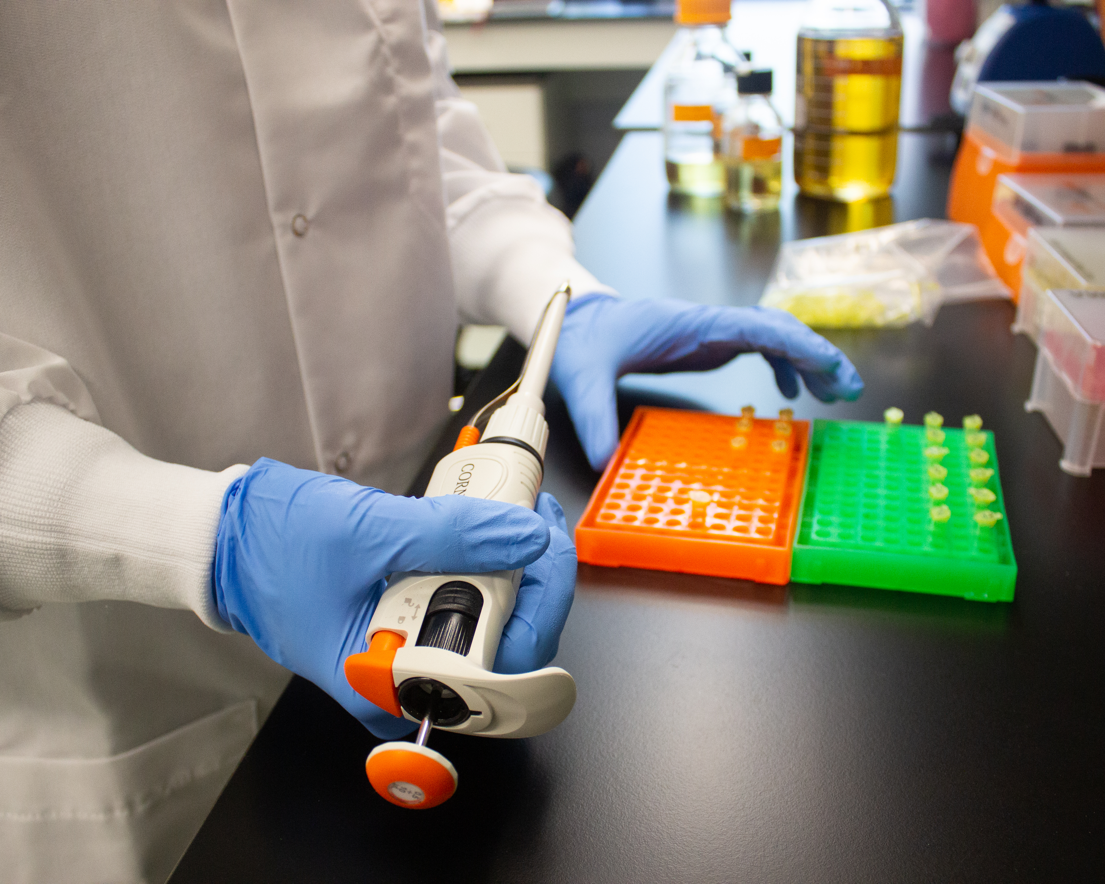 Shared Governance in Bioengineering | Bioengineering | Illinois
