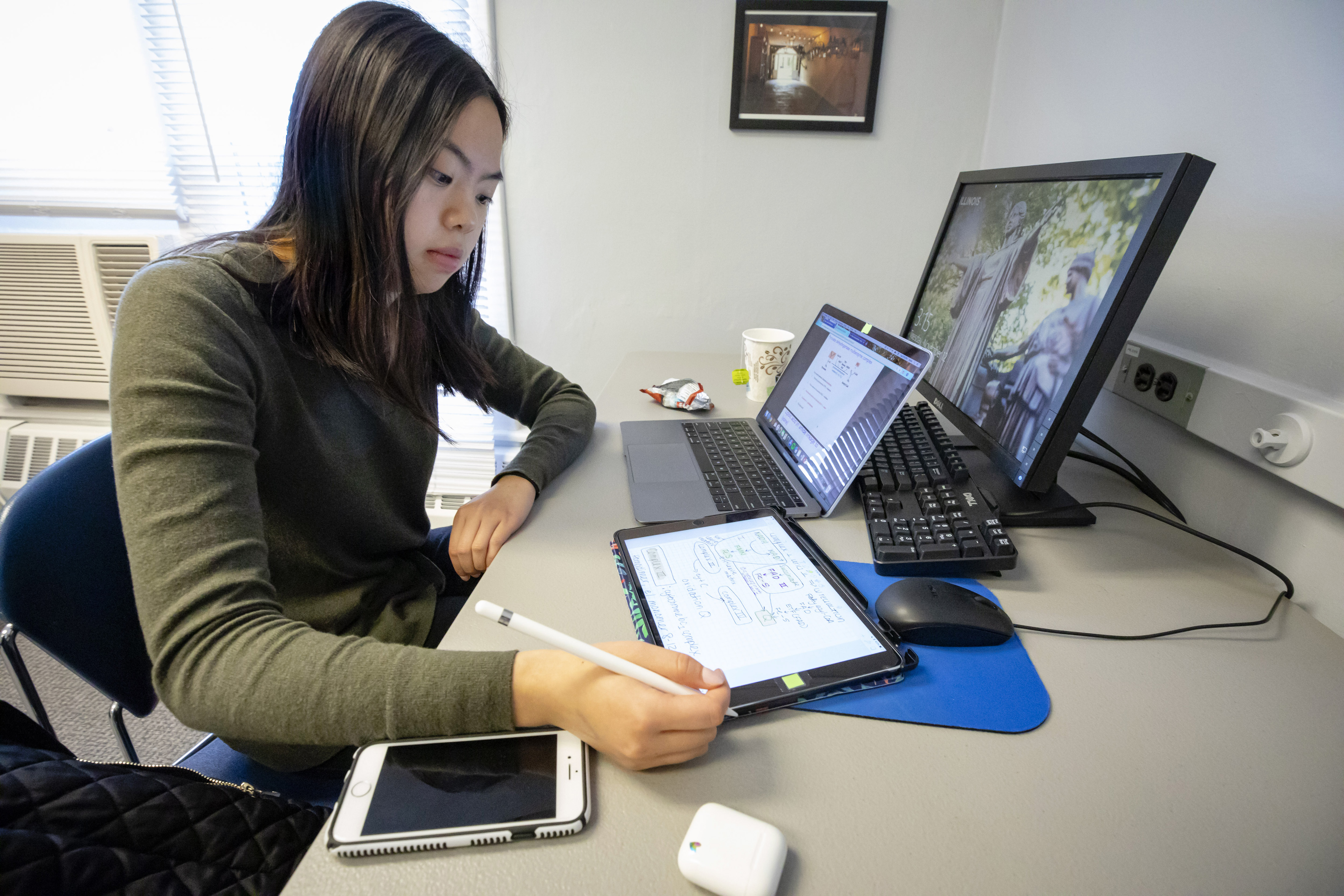 M.Eng. in Bioengineering Online Program | Bioengineering | UIUC