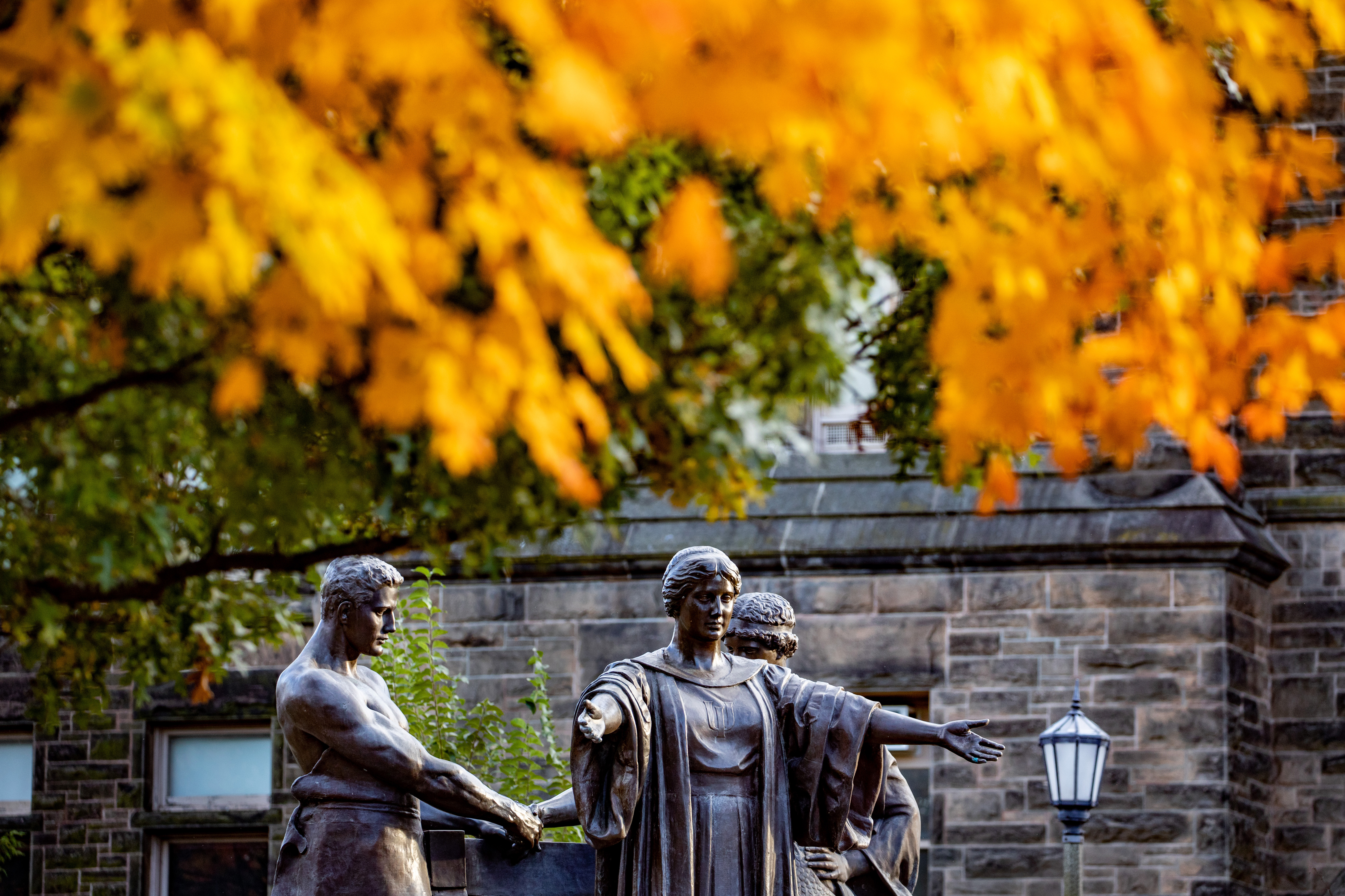 M.Eng. in Bioengineering Online Program | Bioengineering | UIUC