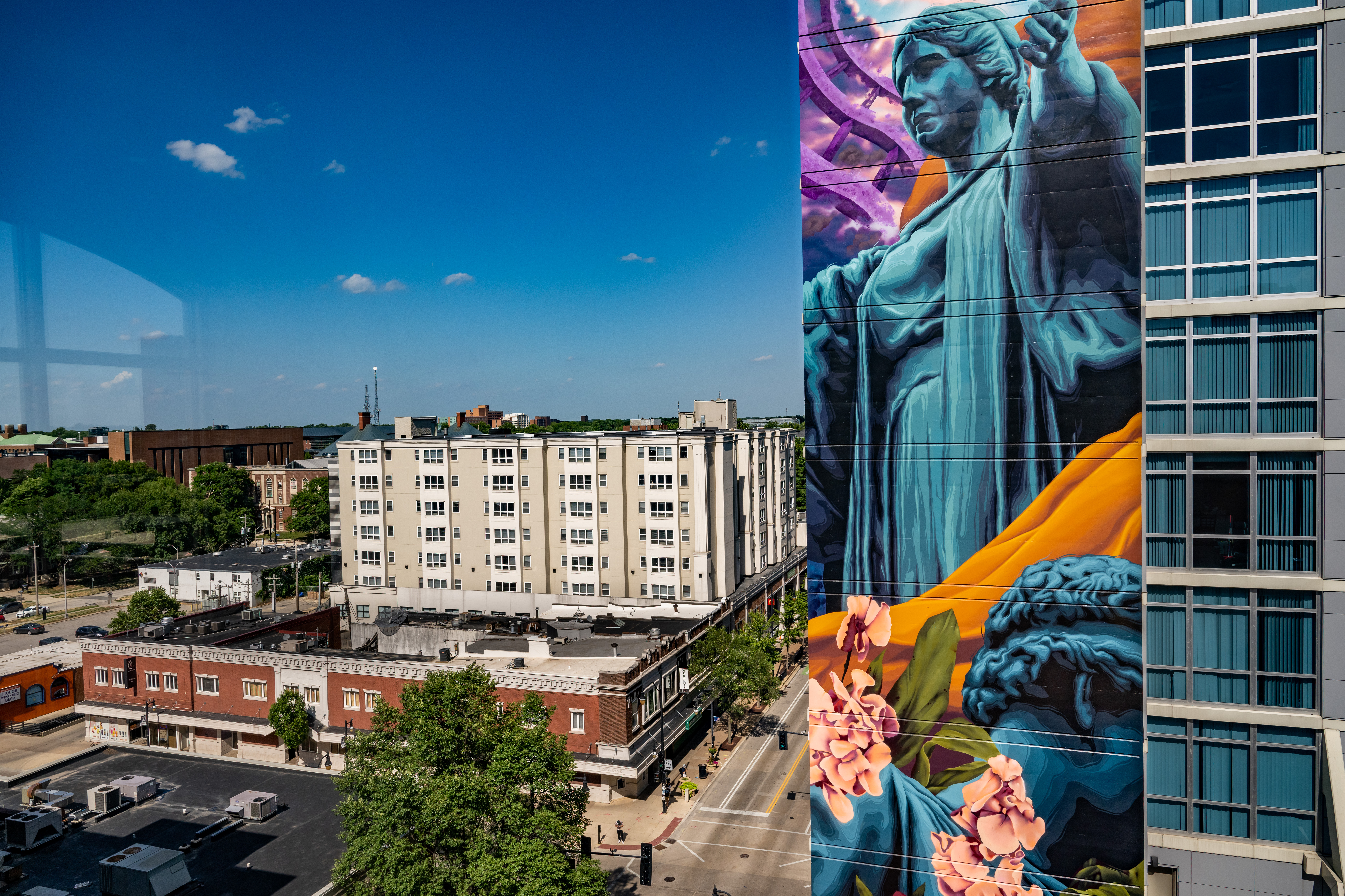 M.S. in Biomedical Image Computing Online | Bioengineering | UIUC