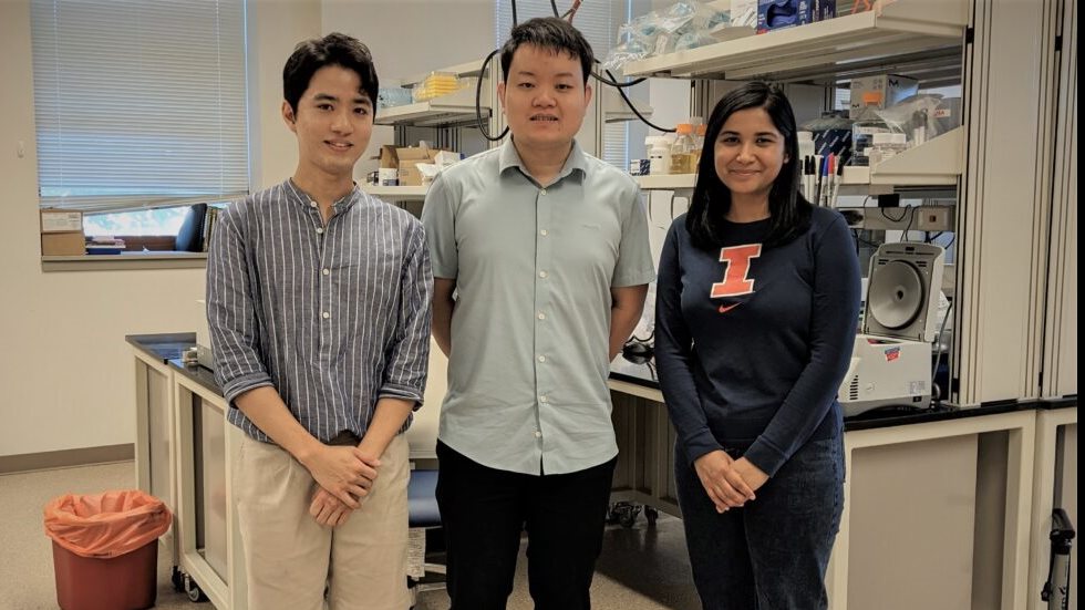 Interdisciplinary Team Develops Innovative Biomaterial to Recruit and ...