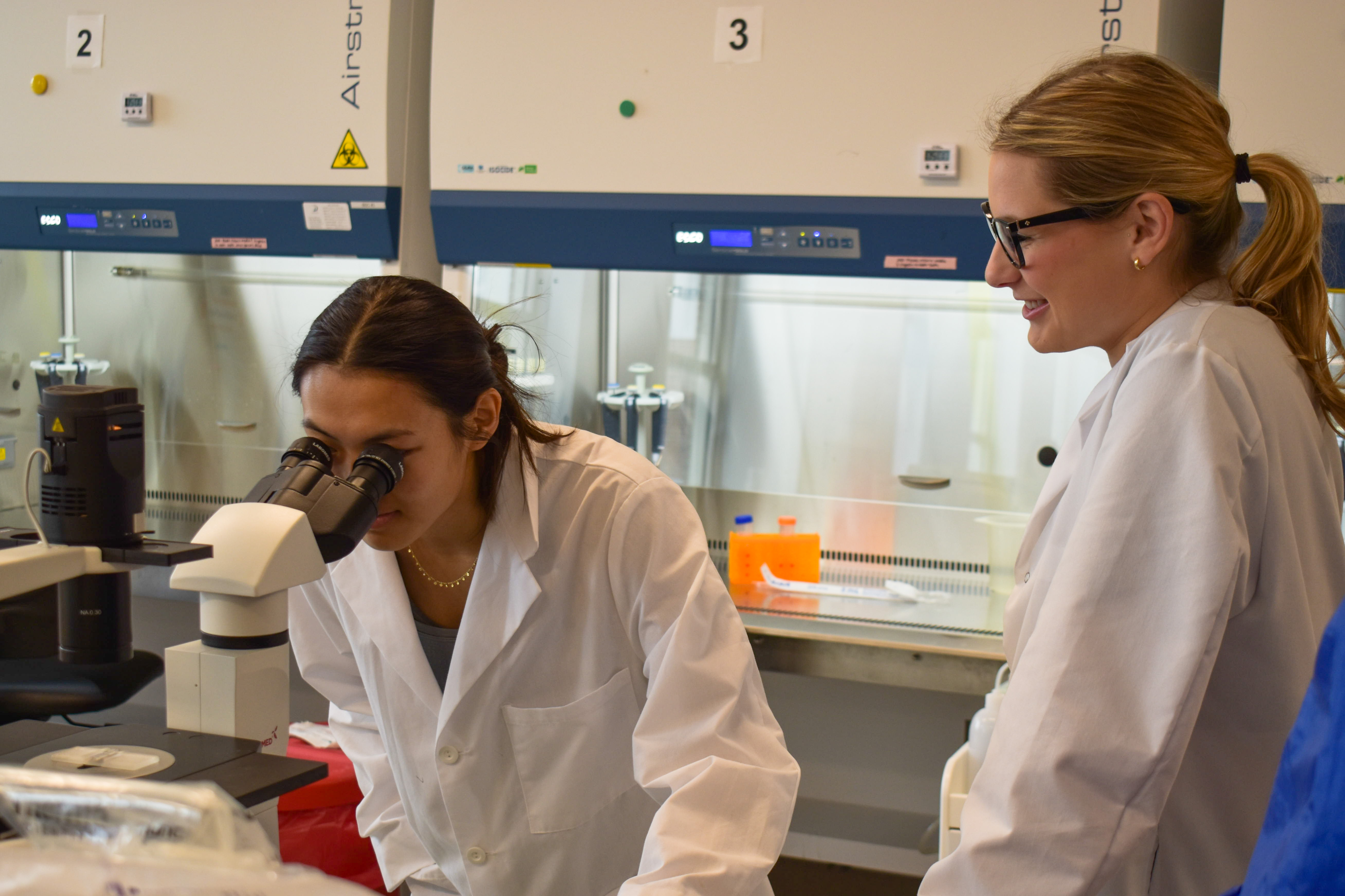 Organoid module gives undergrads hands-on neural engineering experience ...