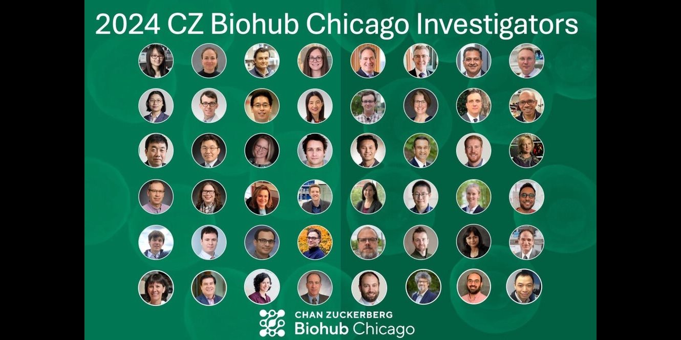 Bioengineering Researchers Selected for Inaugural Biohub Cohort ...